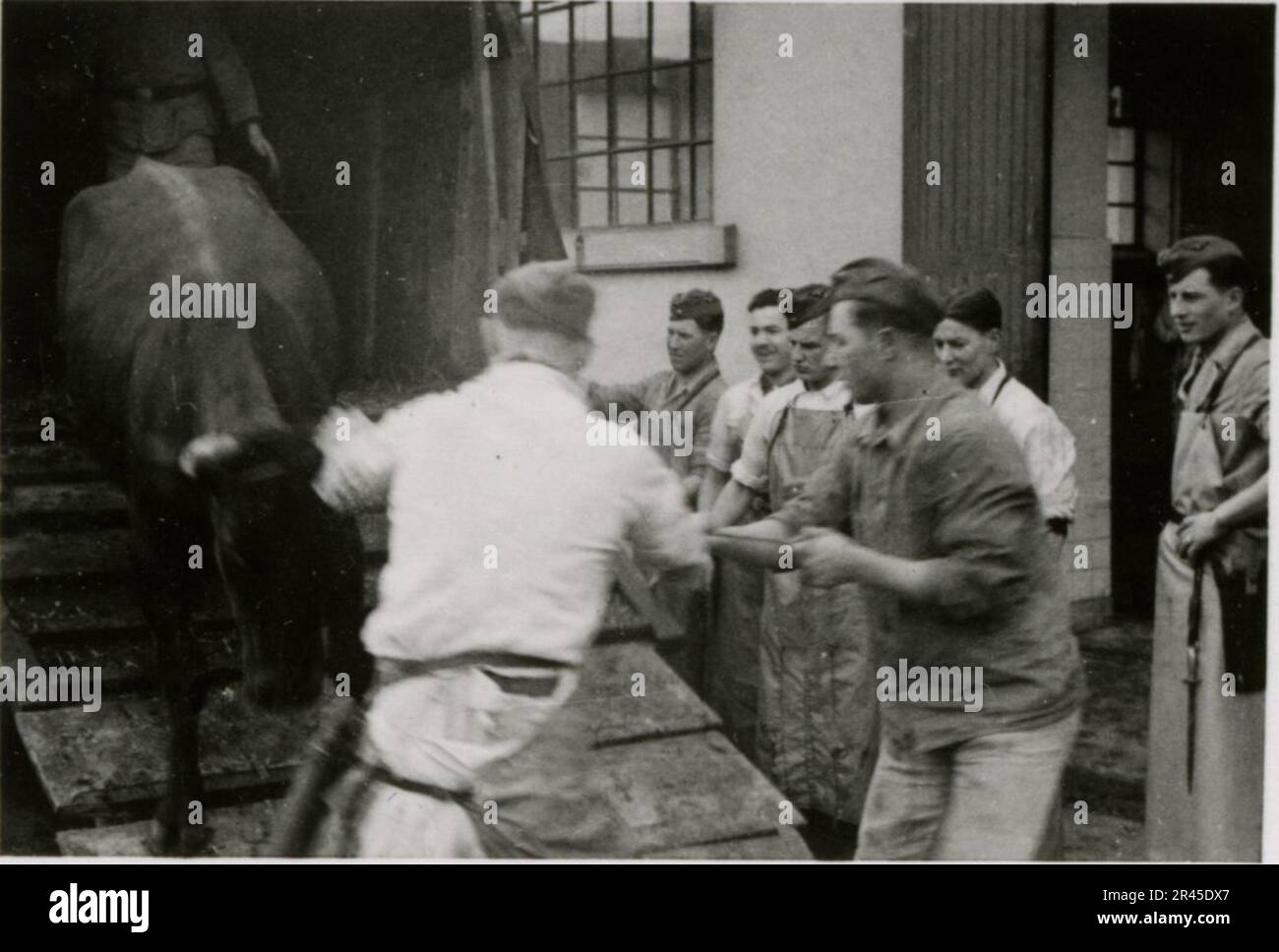 Augustin, Paul, SS photographer of the Leibstandarte Adolf Hitler ...