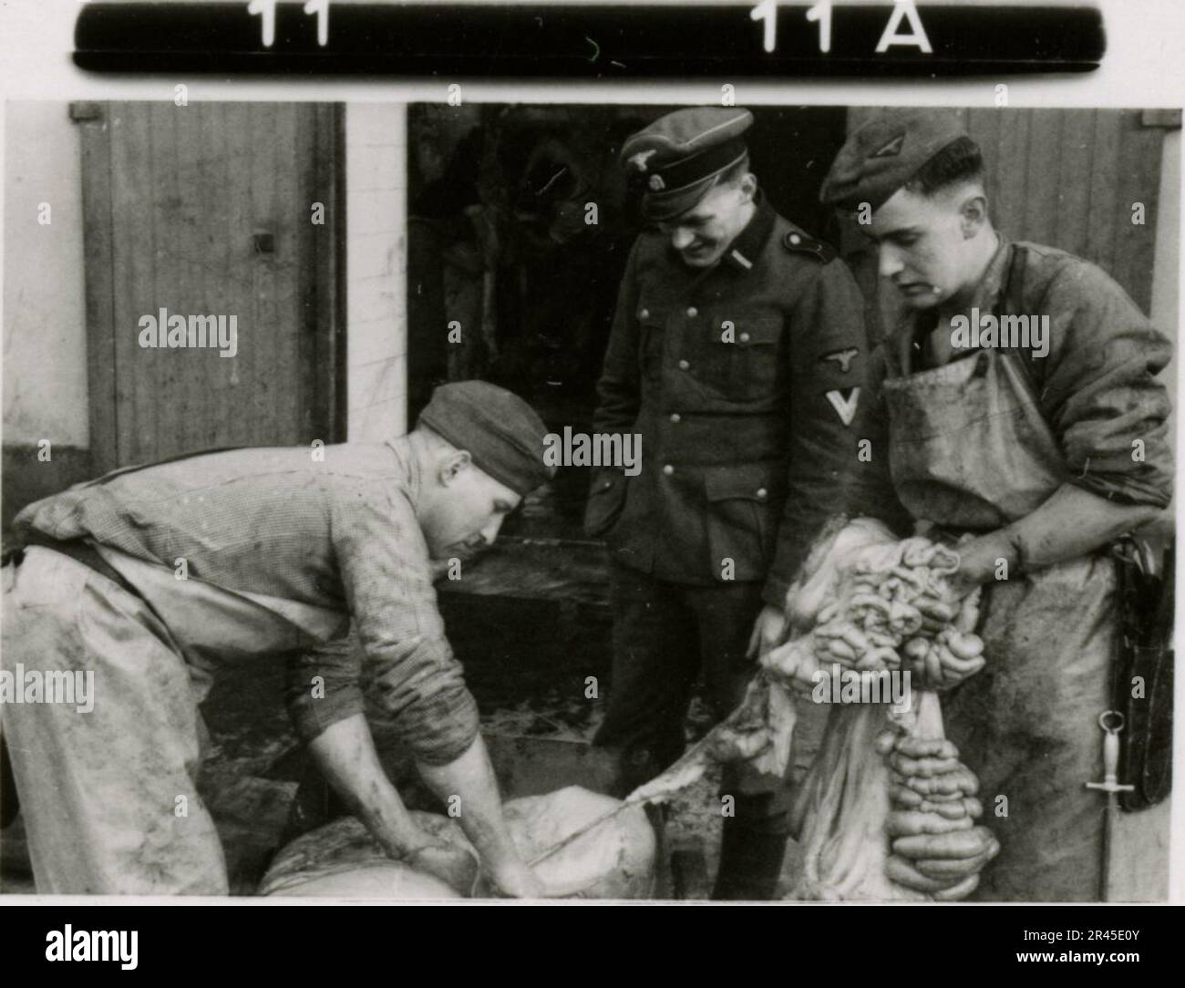 Augustin, Paul, SS photographer of the Leibstandarte Adolf Hitler ...