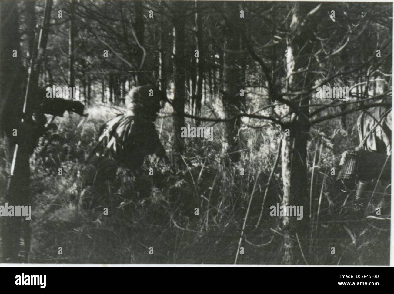 Augustin, Paul, SS photographer of the Leibstandarte Adolf Hitler ...