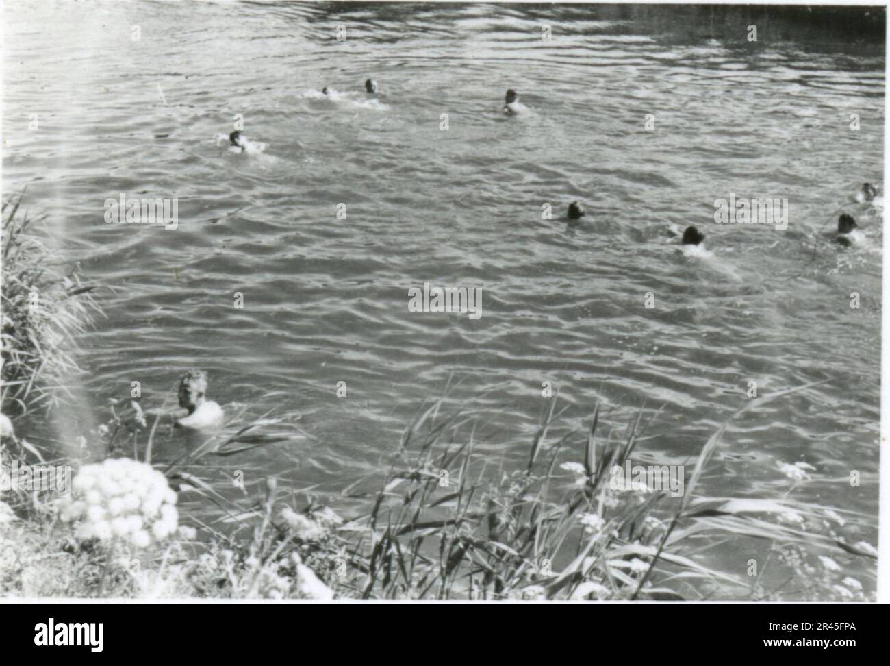 Augustin, Paul, SS photographer of the Leibstandarte Adolf Hitler ...
