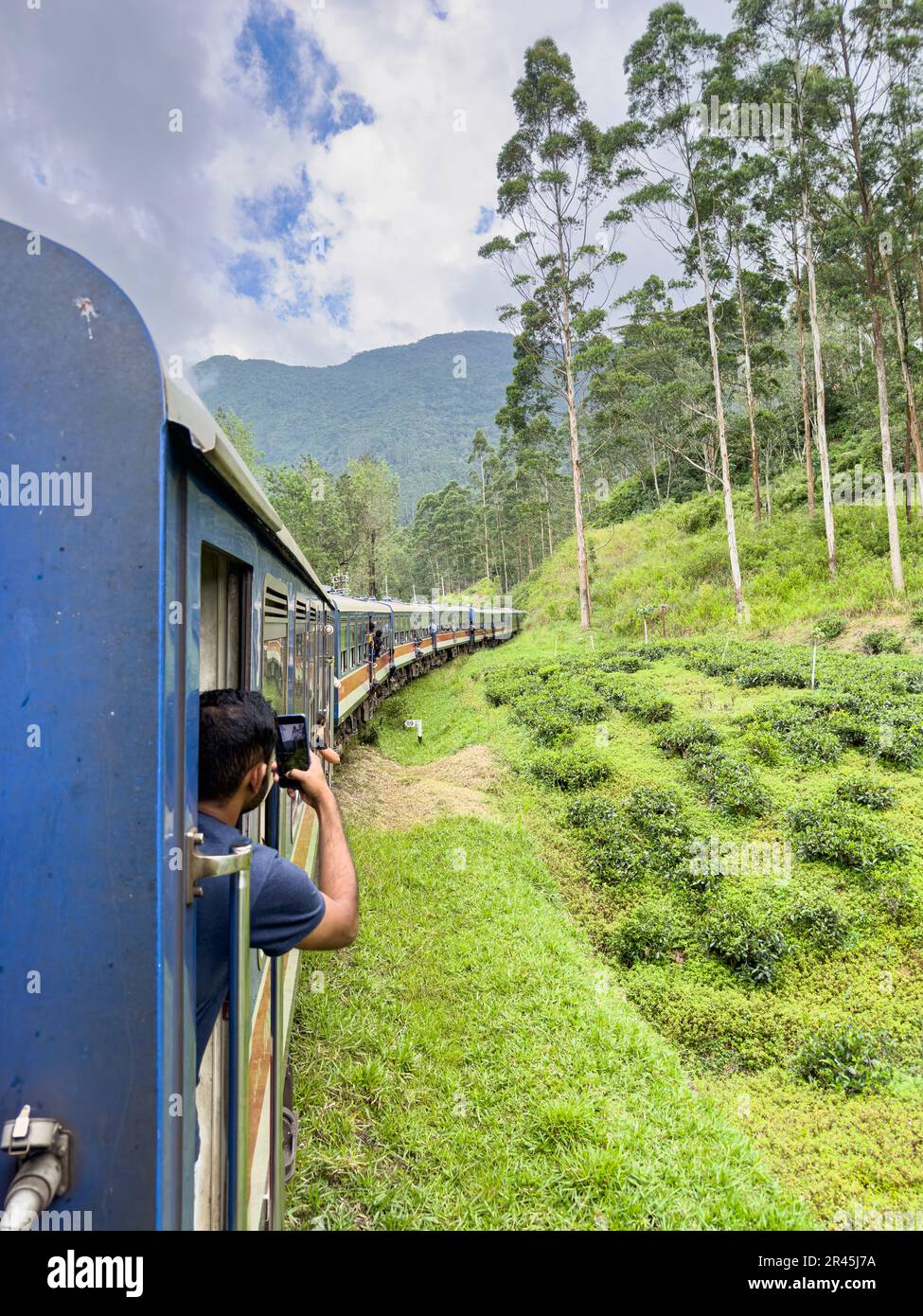 One of the famous trains that traverse through the tea fields from ...