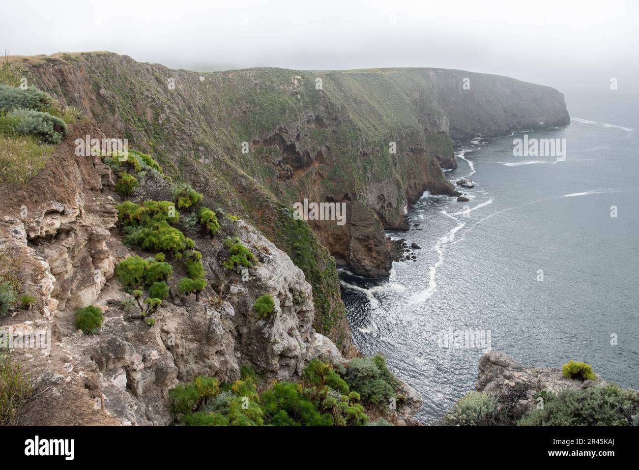 The jagged coastal cliffs of Santa Cruz island part of the Channel ...