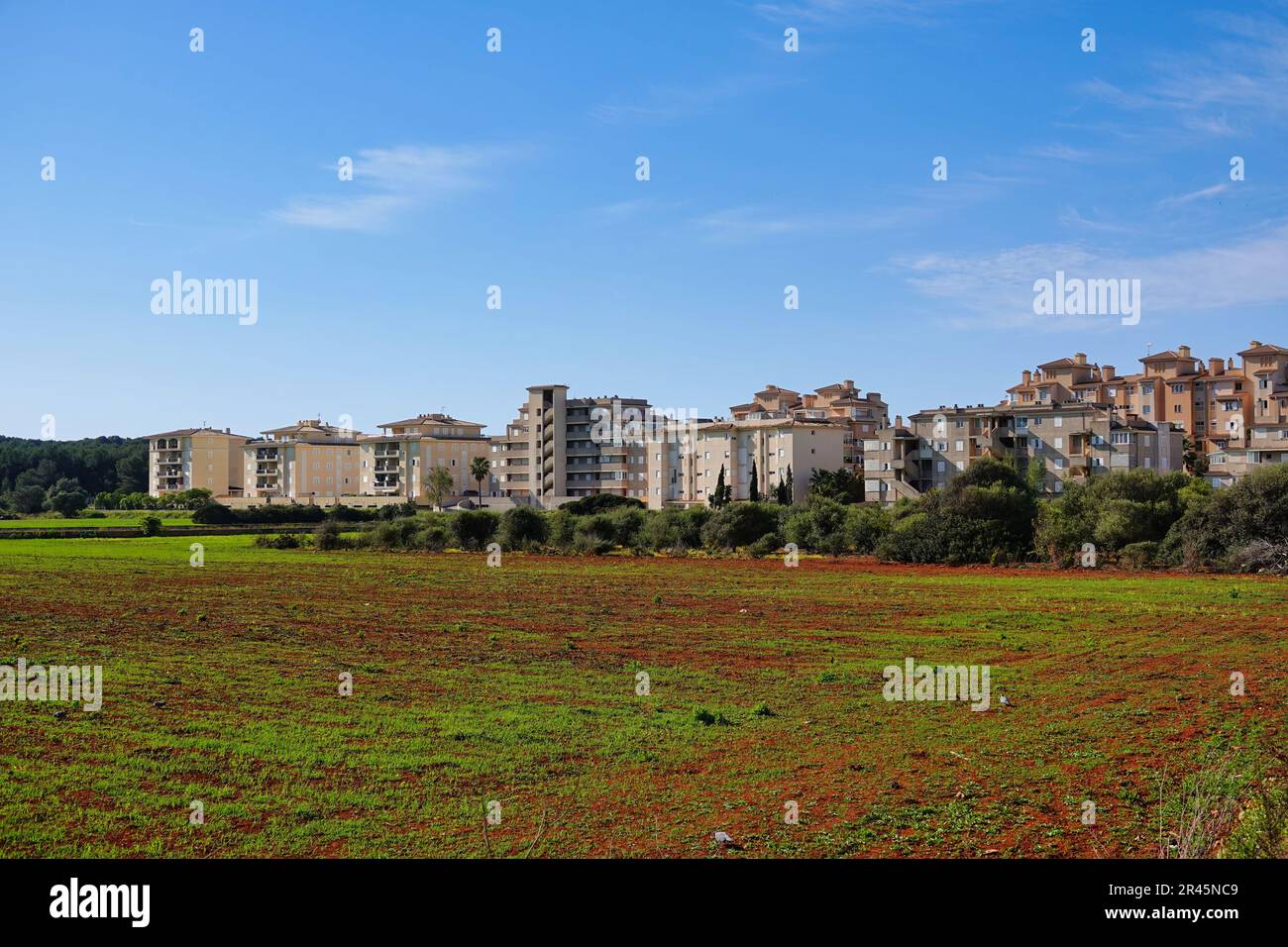 A vibrant Mallorca city skyline on a sunny day in Spain Stock Photo - Alamy