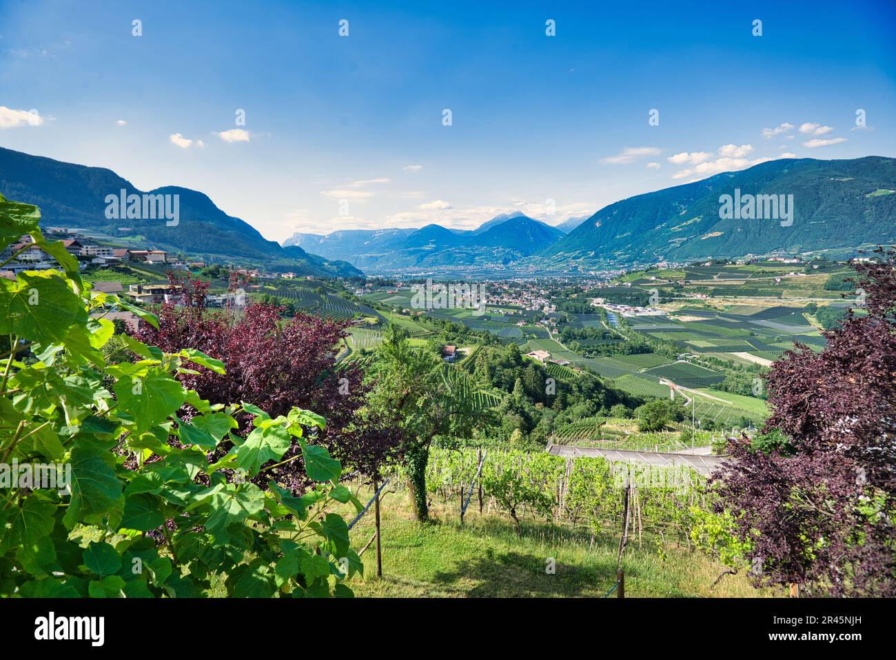 A view of a picturesque Italian valley, with rolling hills and lush ...