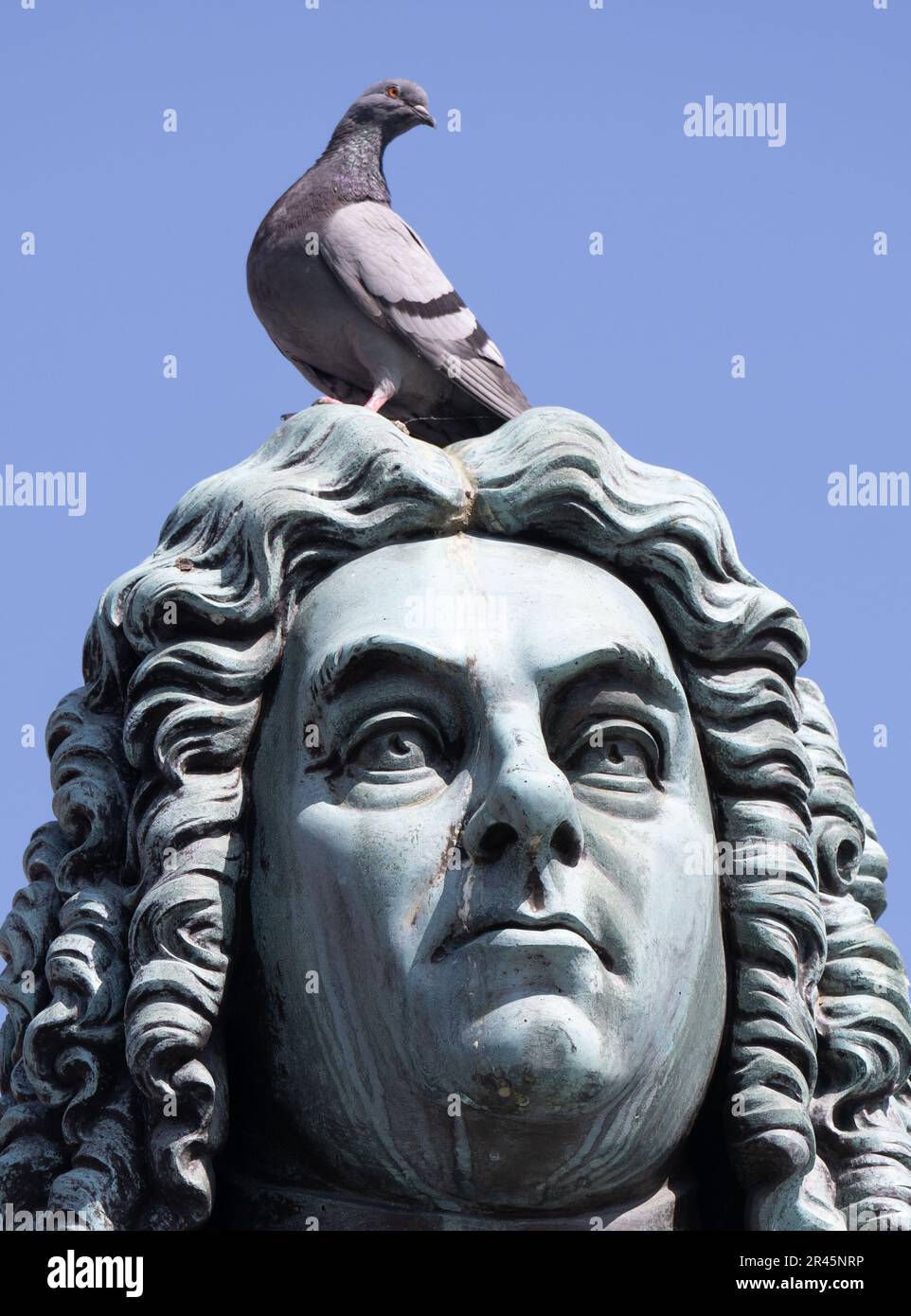 26 May 2023, Saxony-Anhalt, Halle (Saale): A dove has taken a seat on ...