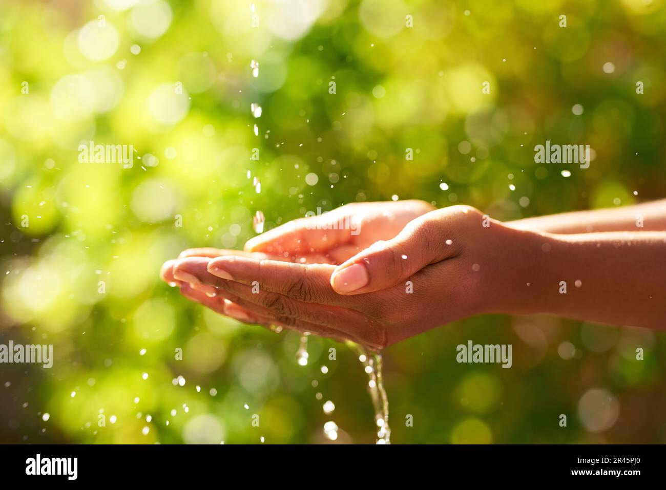 Fresh water splashing into Black woman cups hands, World Water Day save ...