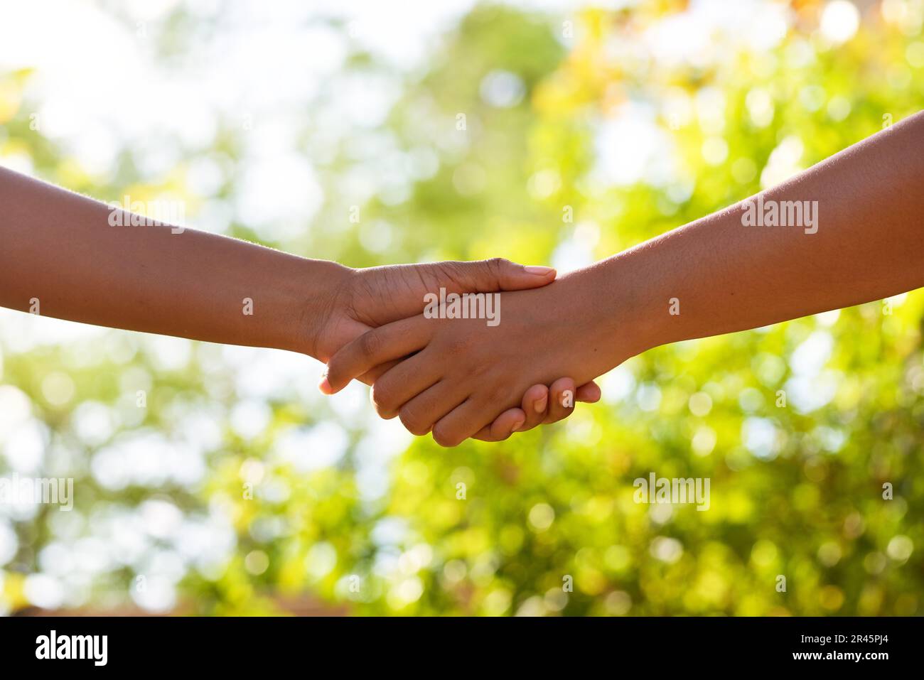 Two Black women shake hands outdoors, nature handshake, deal for ...