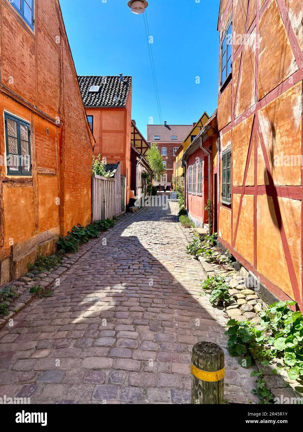 A sun-kissed urban alleyway featuring yellow-bricked buildings on ...