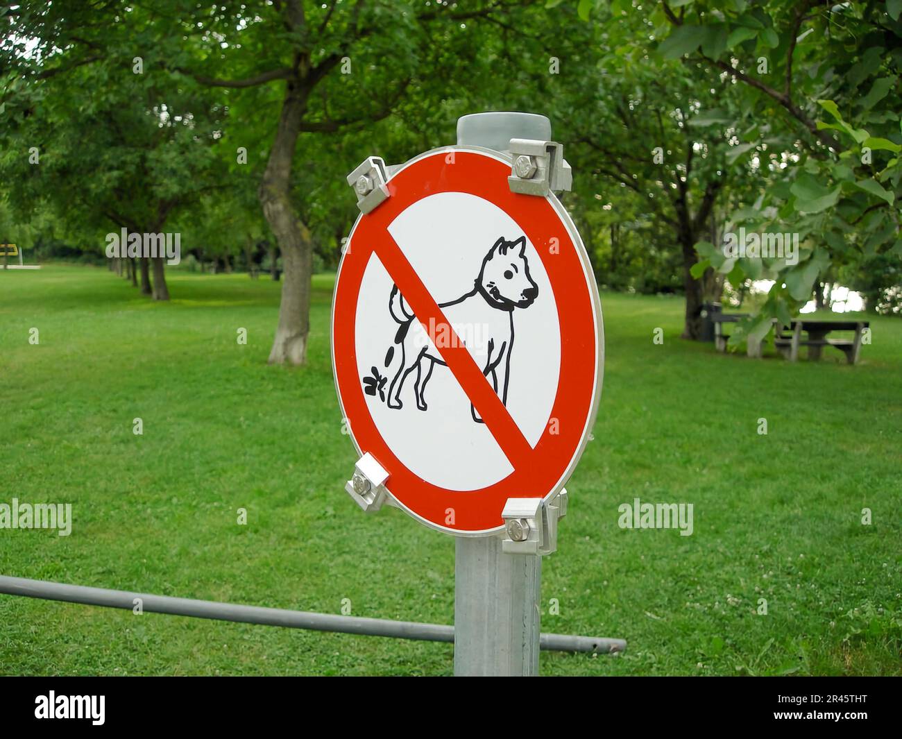A red no dogs sign in a park environment, surrounded by lush green ...