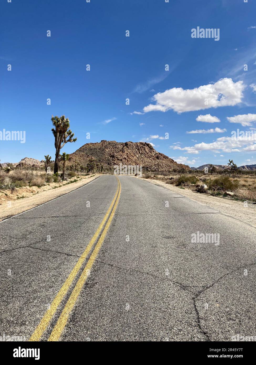 A picturesque, narrow two-lane road is winding through the vast desert ...