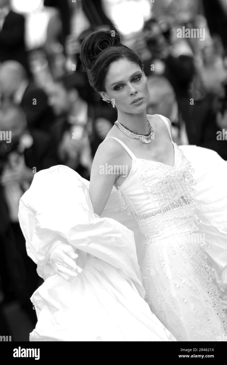 Coco Rocha Wedding Dress