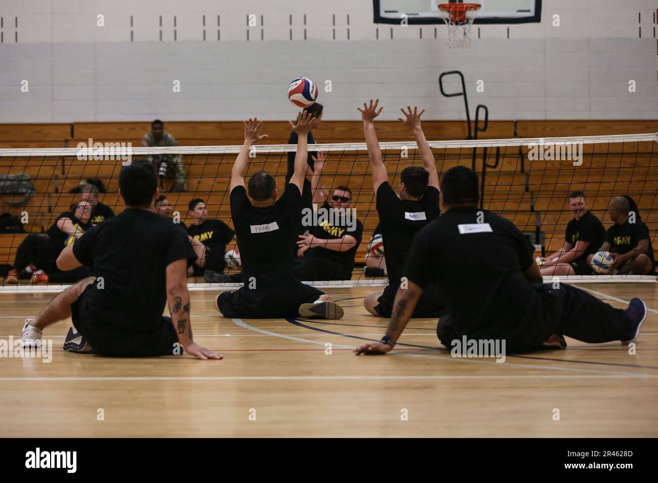 U.S. Army Athletes, playing sitting volleyball during the U.S. Army ...