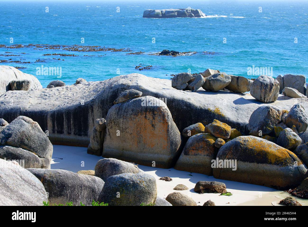 Boulder’s Beach, Cape Town, South Africa Stock Photo - Alamy