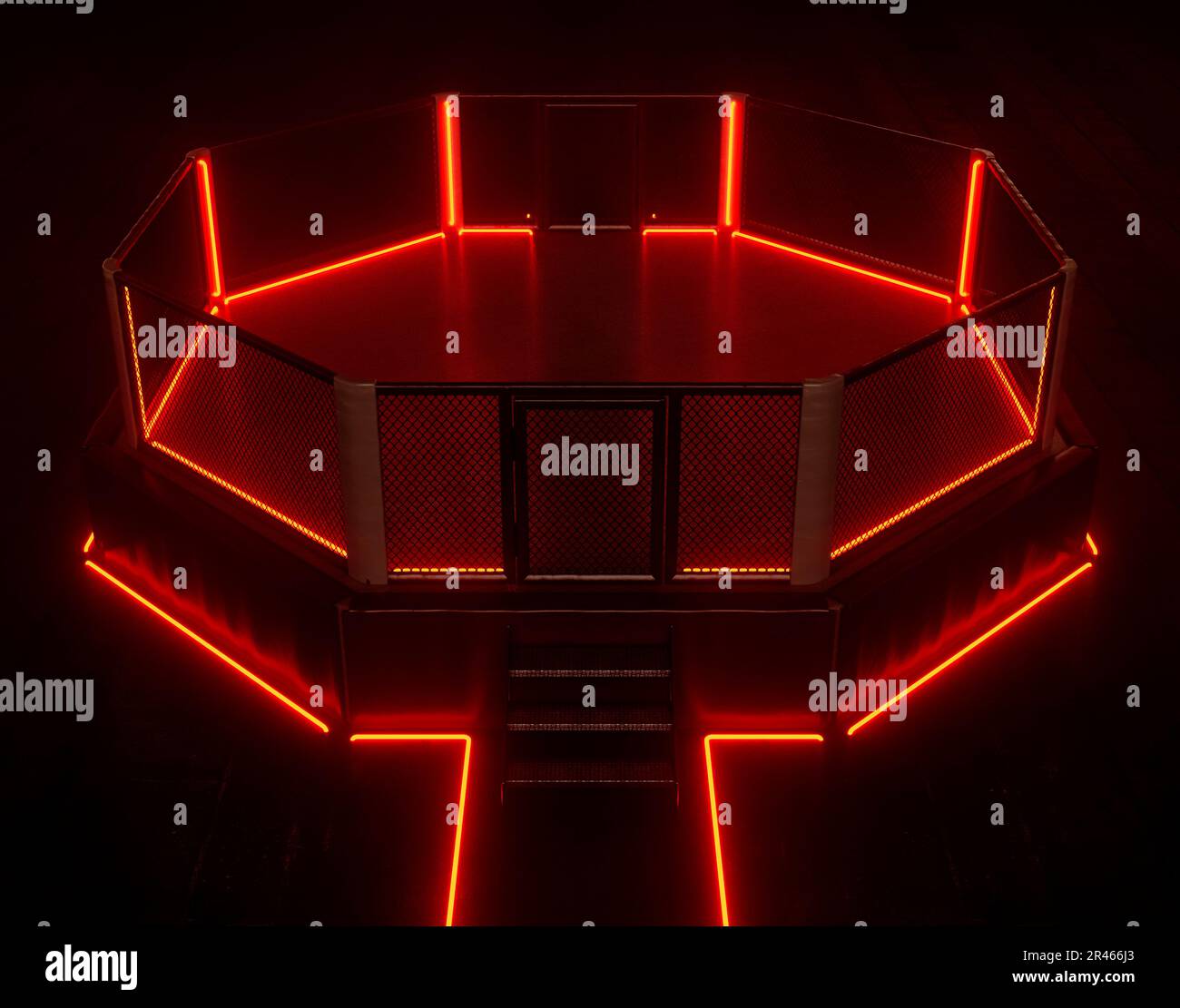 A futurist cyberpunk concept of a MMA octagon ring lit by illuminated ...