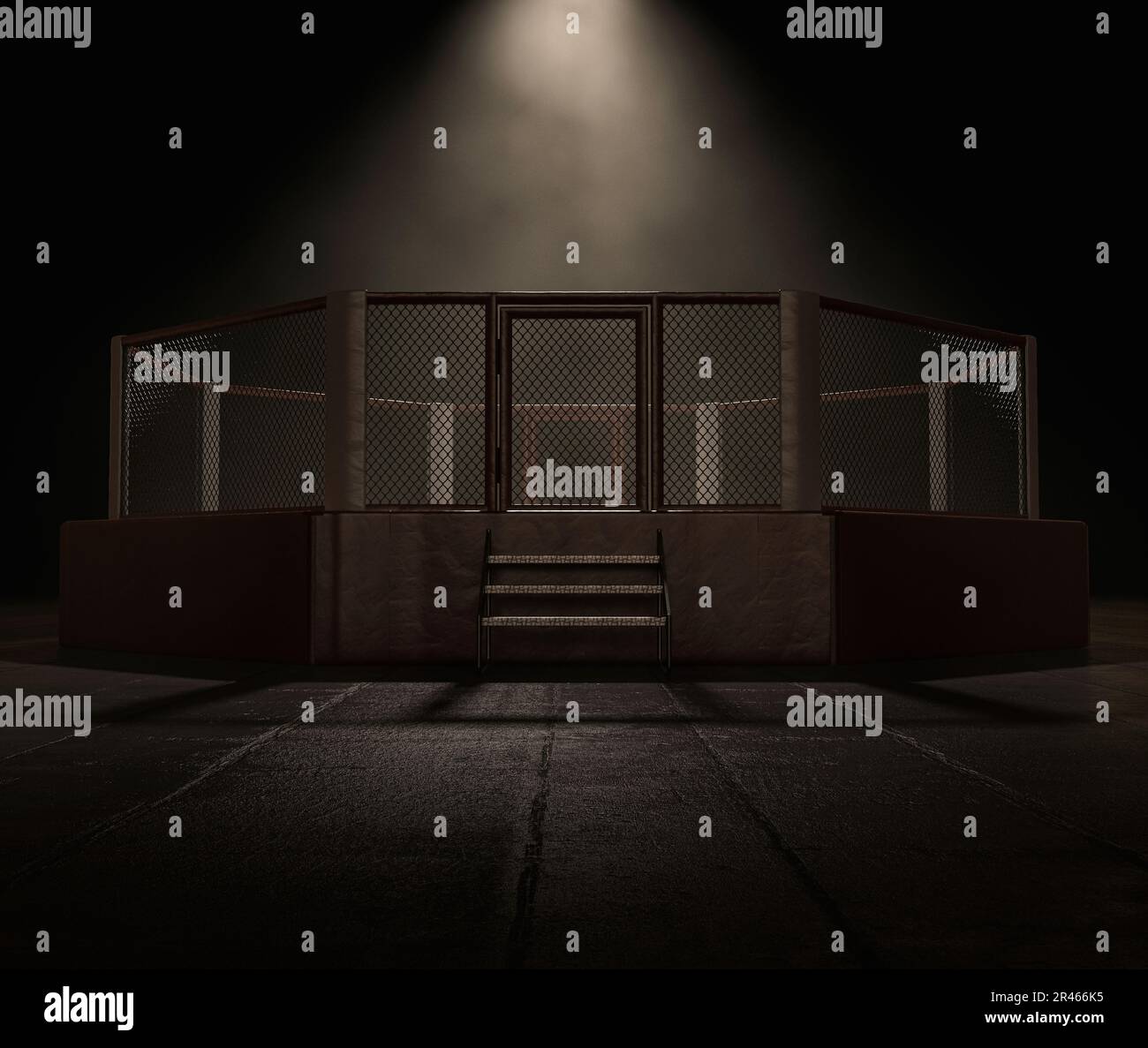 Mma ring hi-res stock photography and images - Alamy