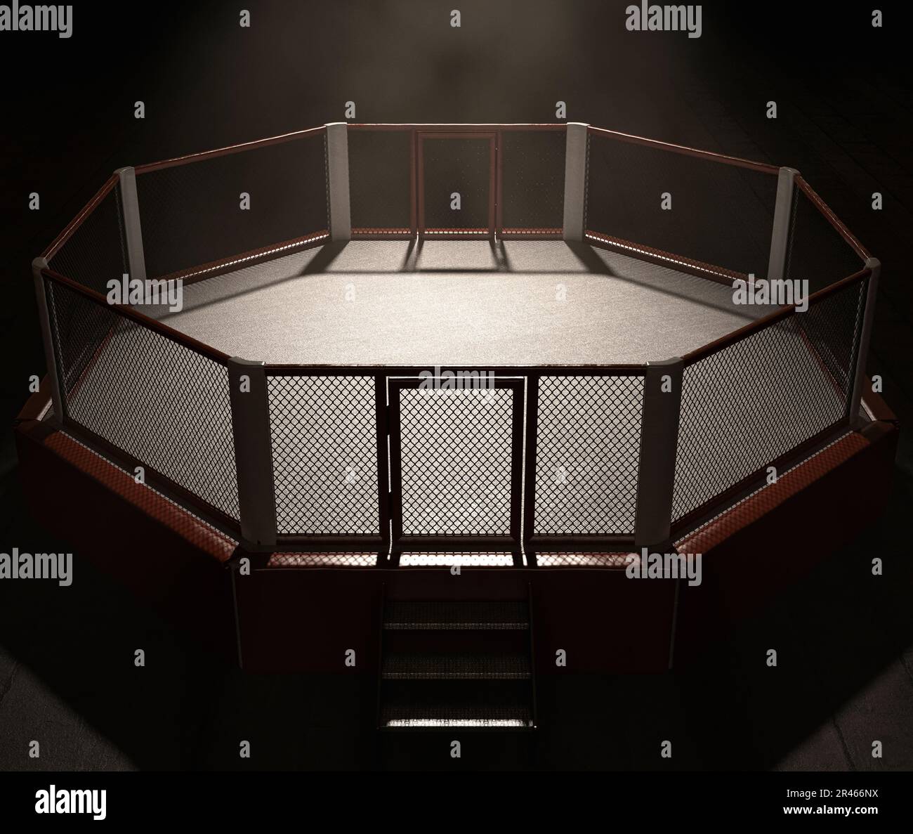 Mma Ring Models