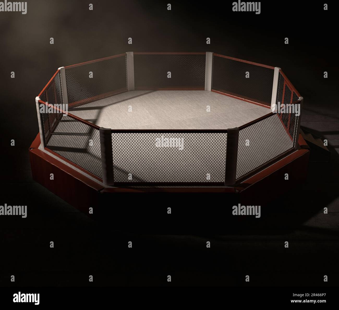 Mma ring hi-res stock photography and images - Alamy