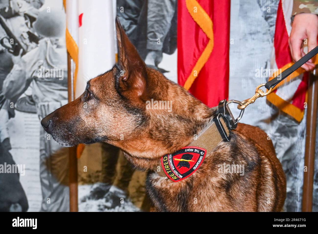 U.S. Air Force military working dog Mika, receives her retirement patch ...