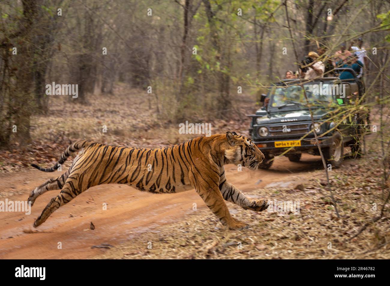 Jeep running on road hi-res stock photography and images - Alamy