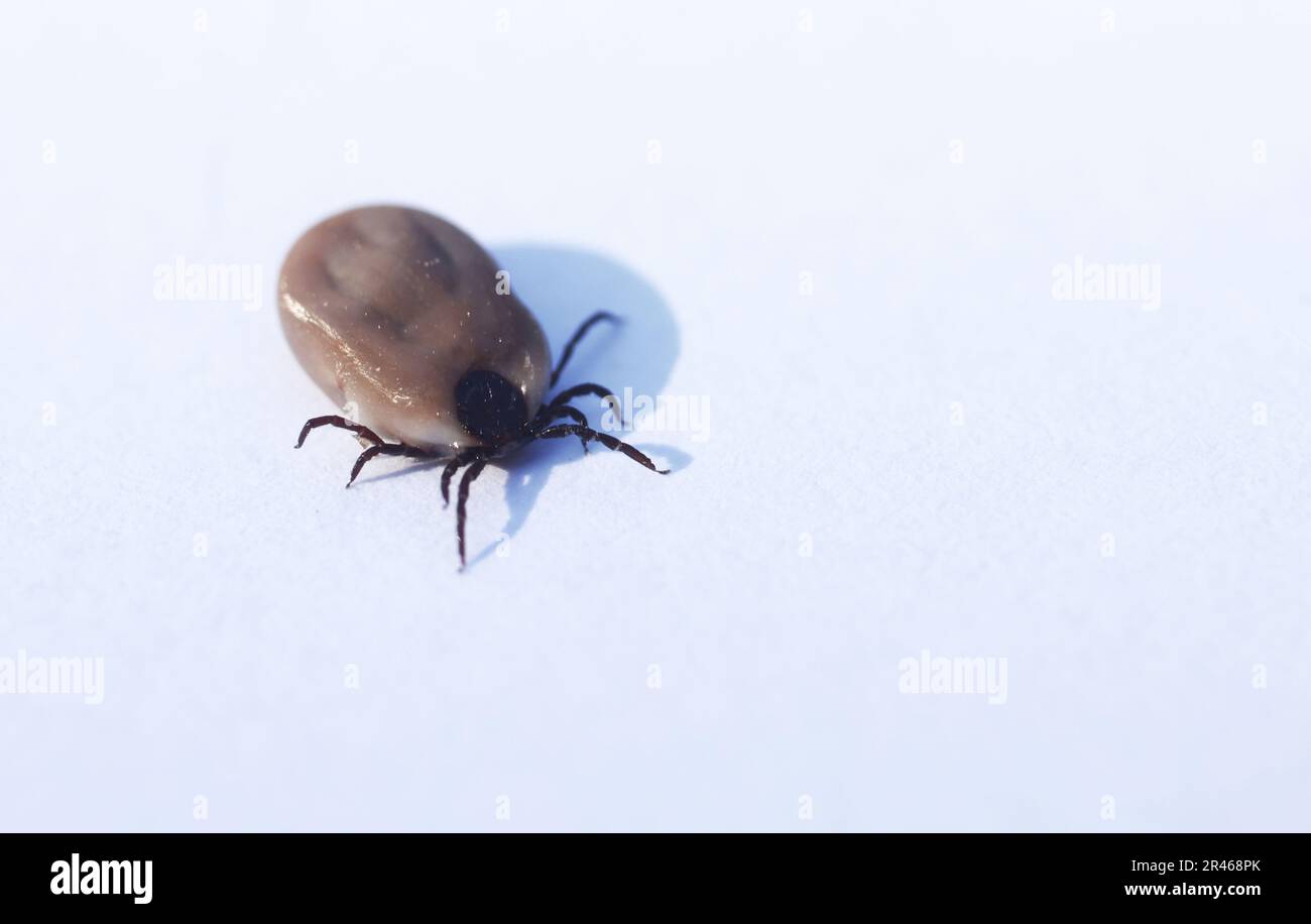 Fastingar hi-res stock photography and images - Alamy