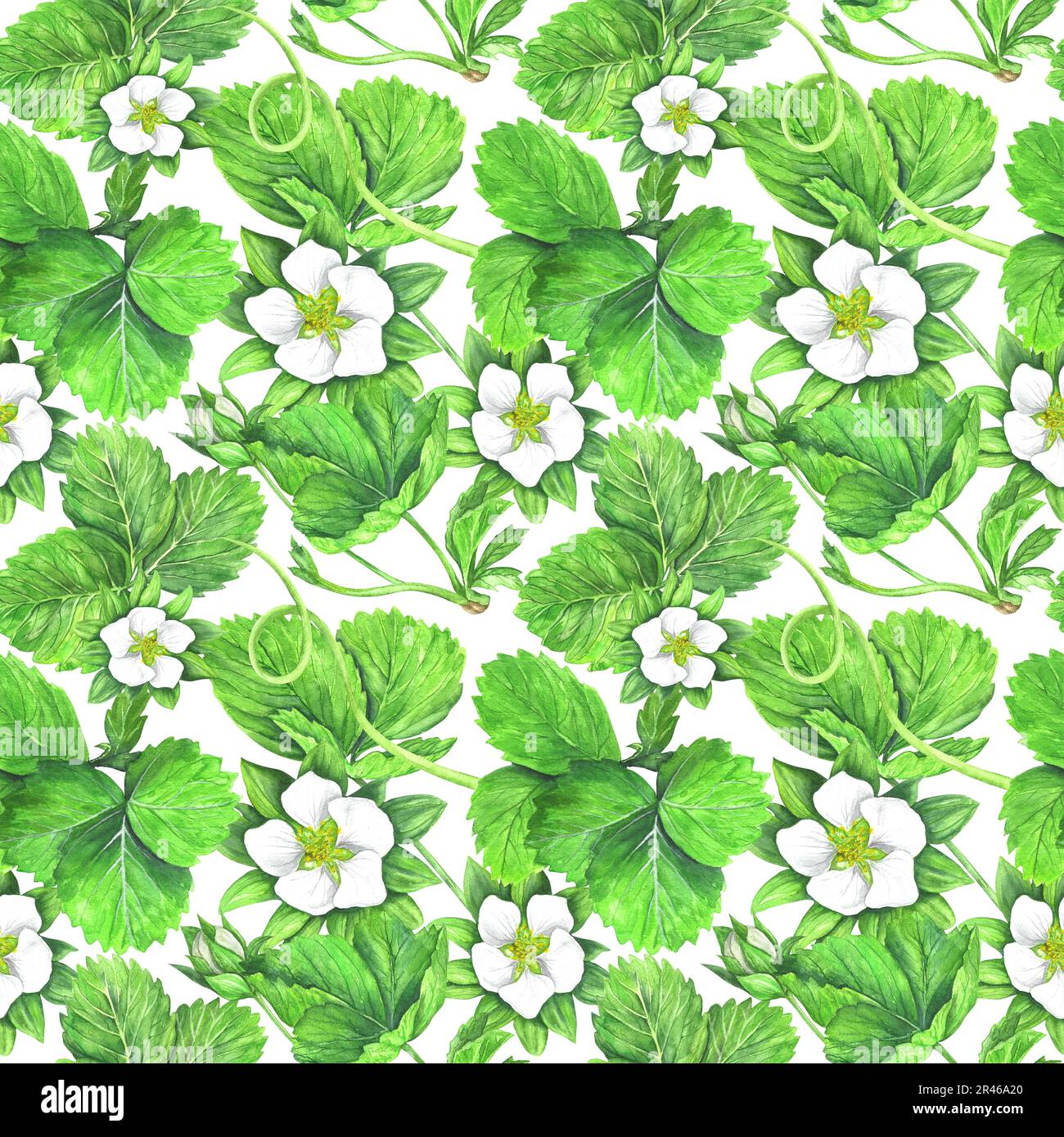 Seamless pattern of strawberry bushes with green leaves and white ...