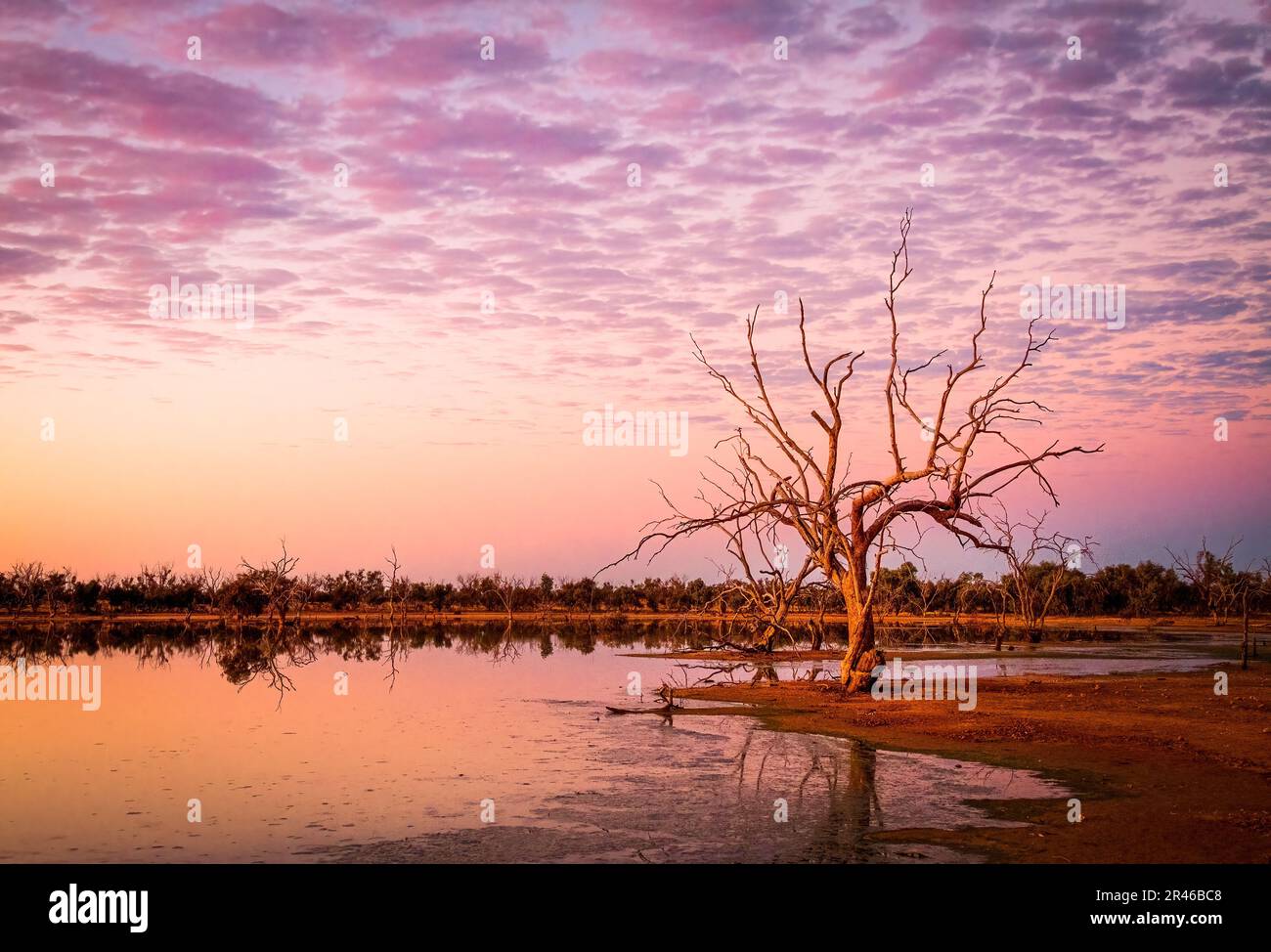 A stunning sunrise illuminates a barren landscape in Sturt National ...