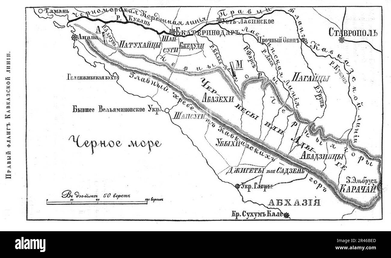 Right flank Cut Out Stock Images & Pictures - Alamy