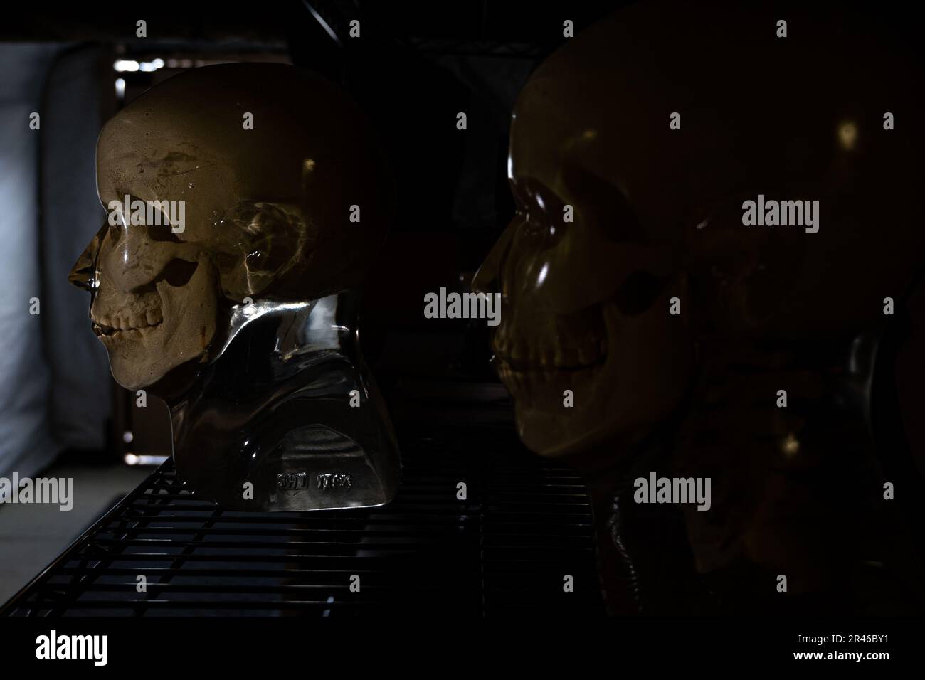 Translucent-skin skull models sit on display as part of the U.S. Army ...