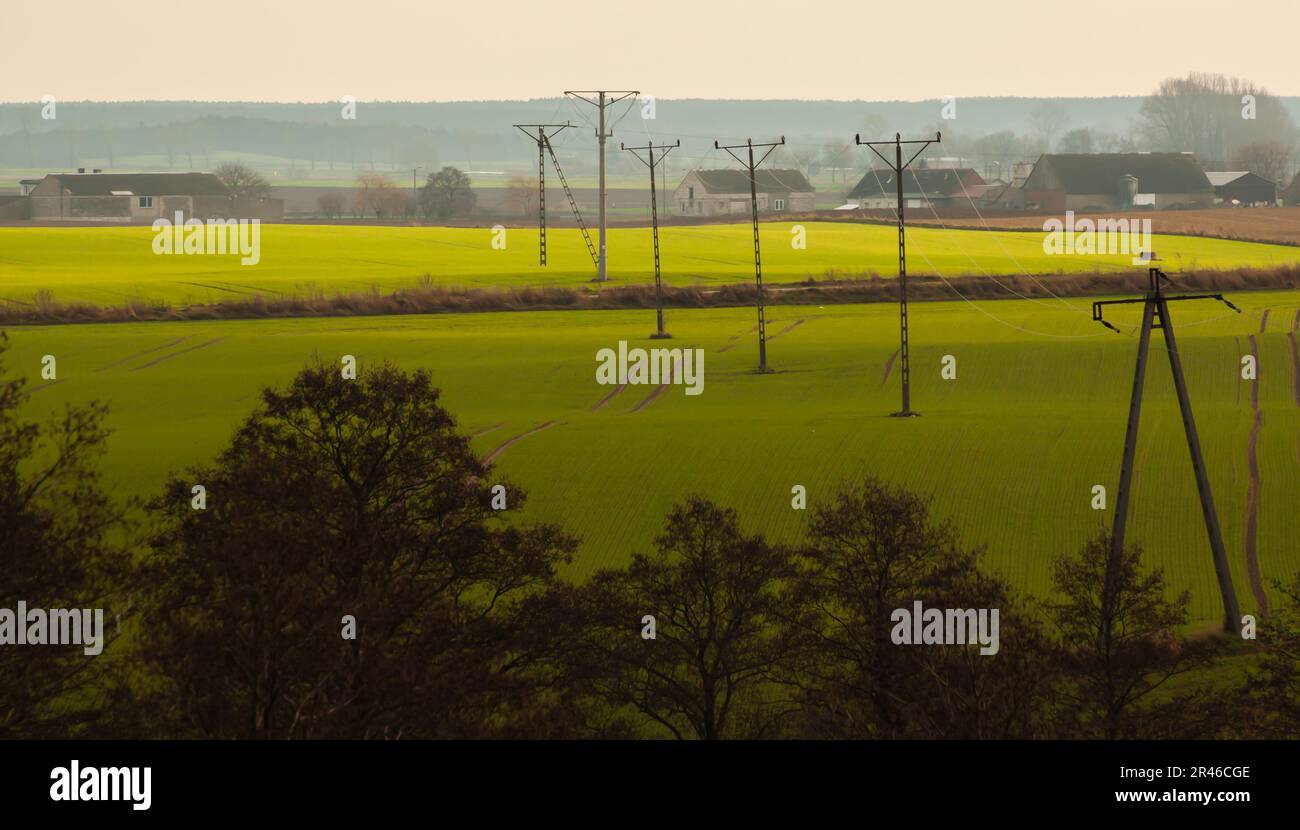 Electricity poles in rural landscape hi-res stock photography and ...