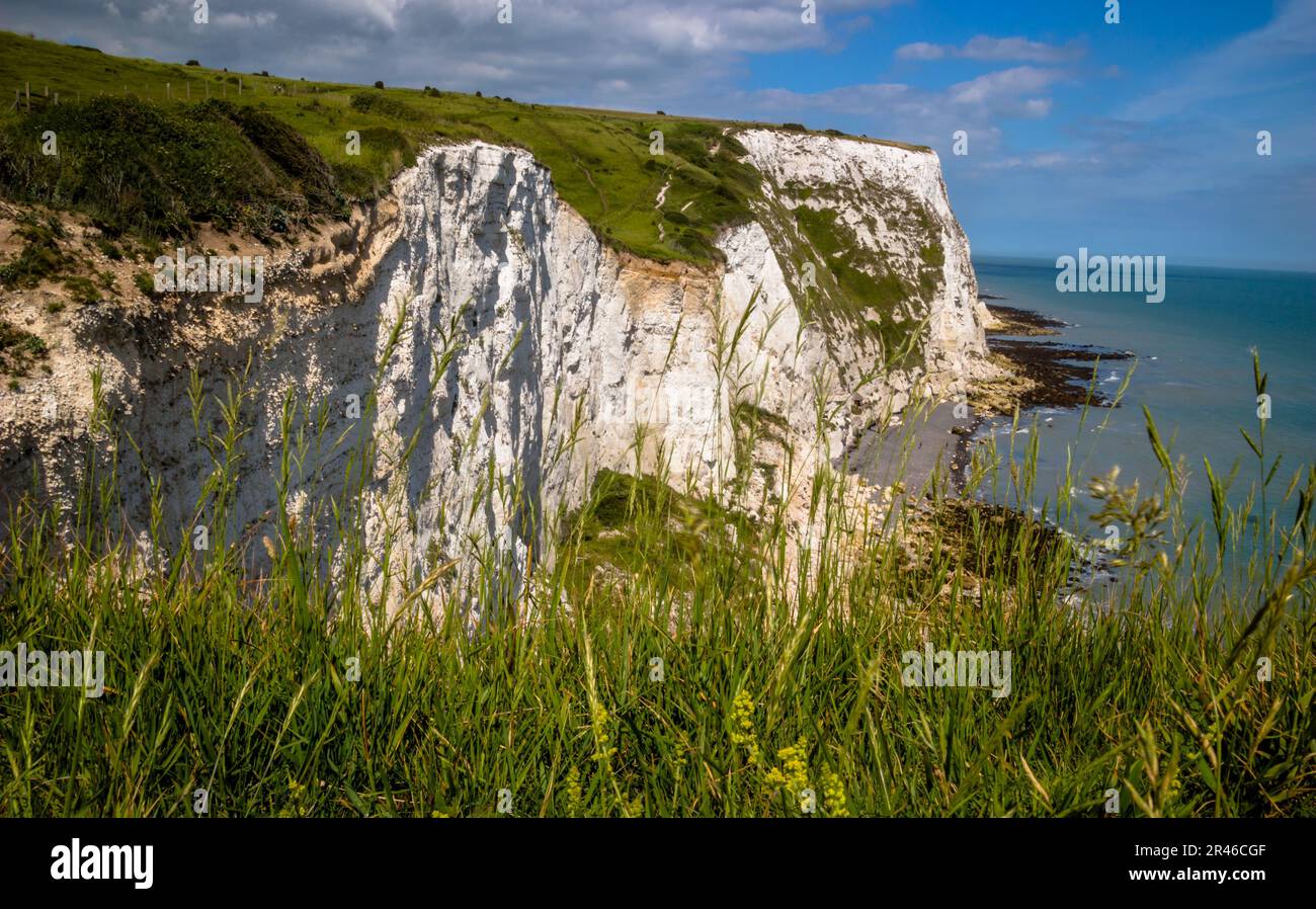 A stunning view of a rocky cliff edge along a grassy shoreline in White ...