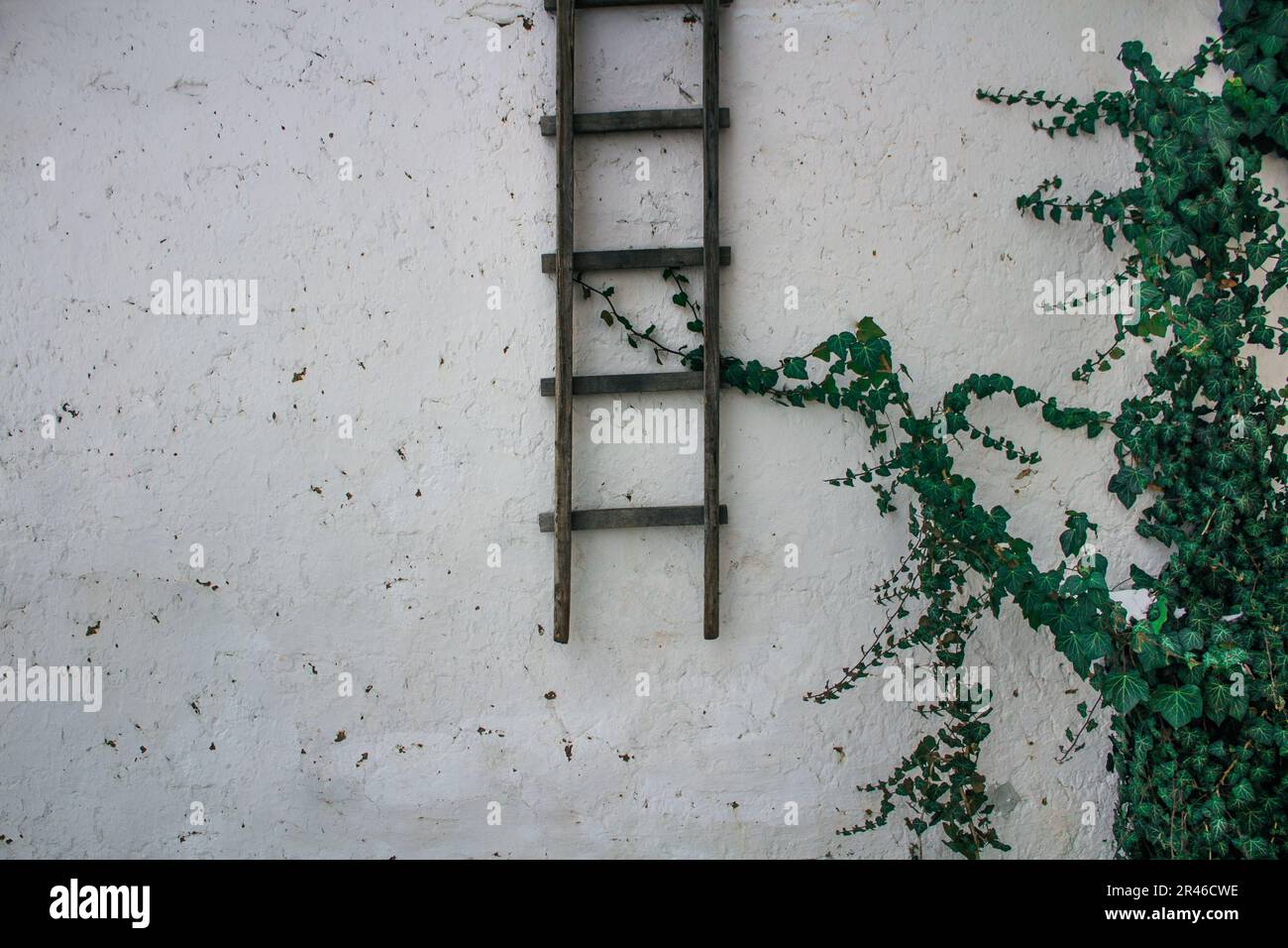 Rung leaning ladder hi-res stock photography and images - Alamy
