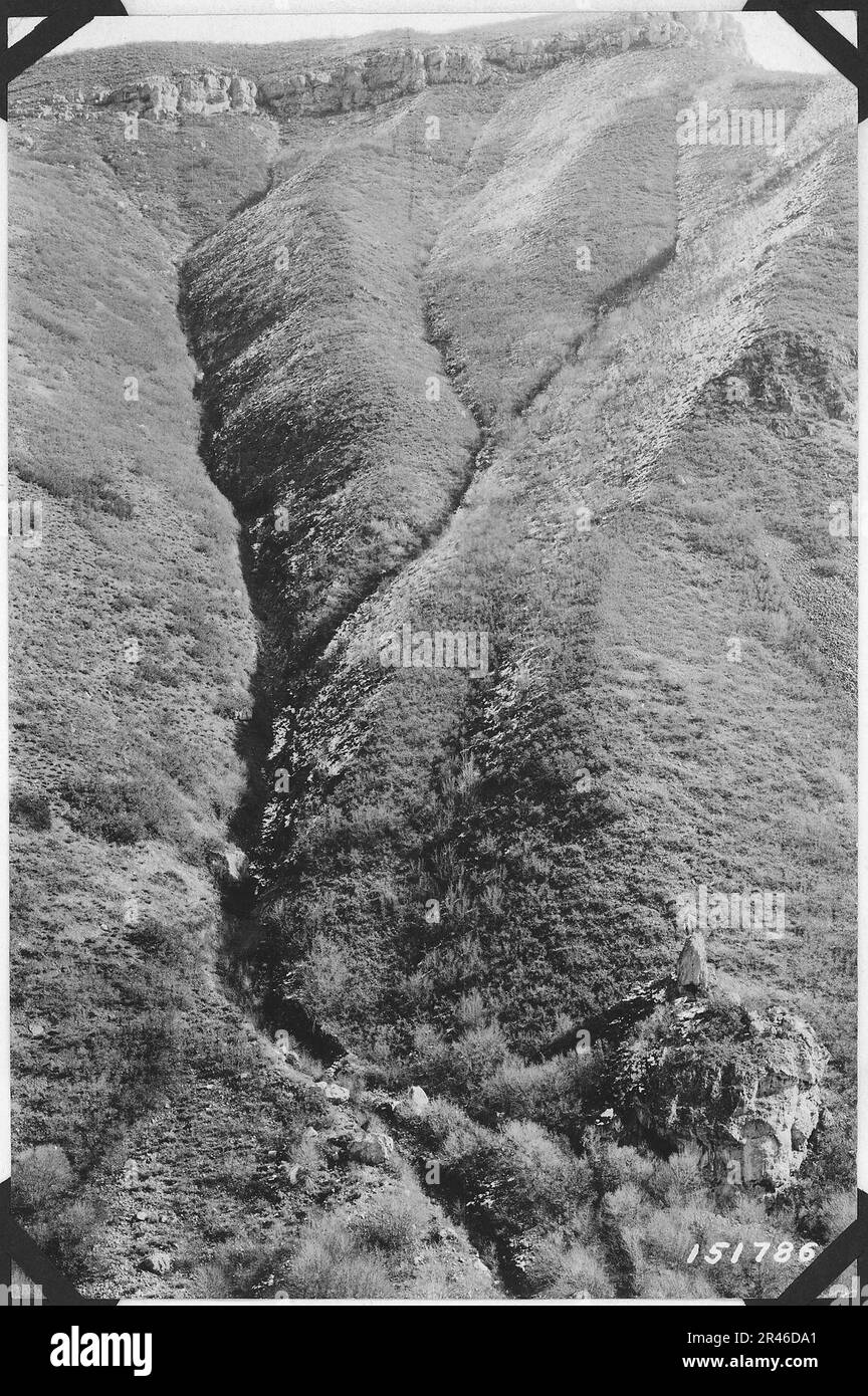 Uinta National Forest, Utah, 1920 Stock Photo - Alamy