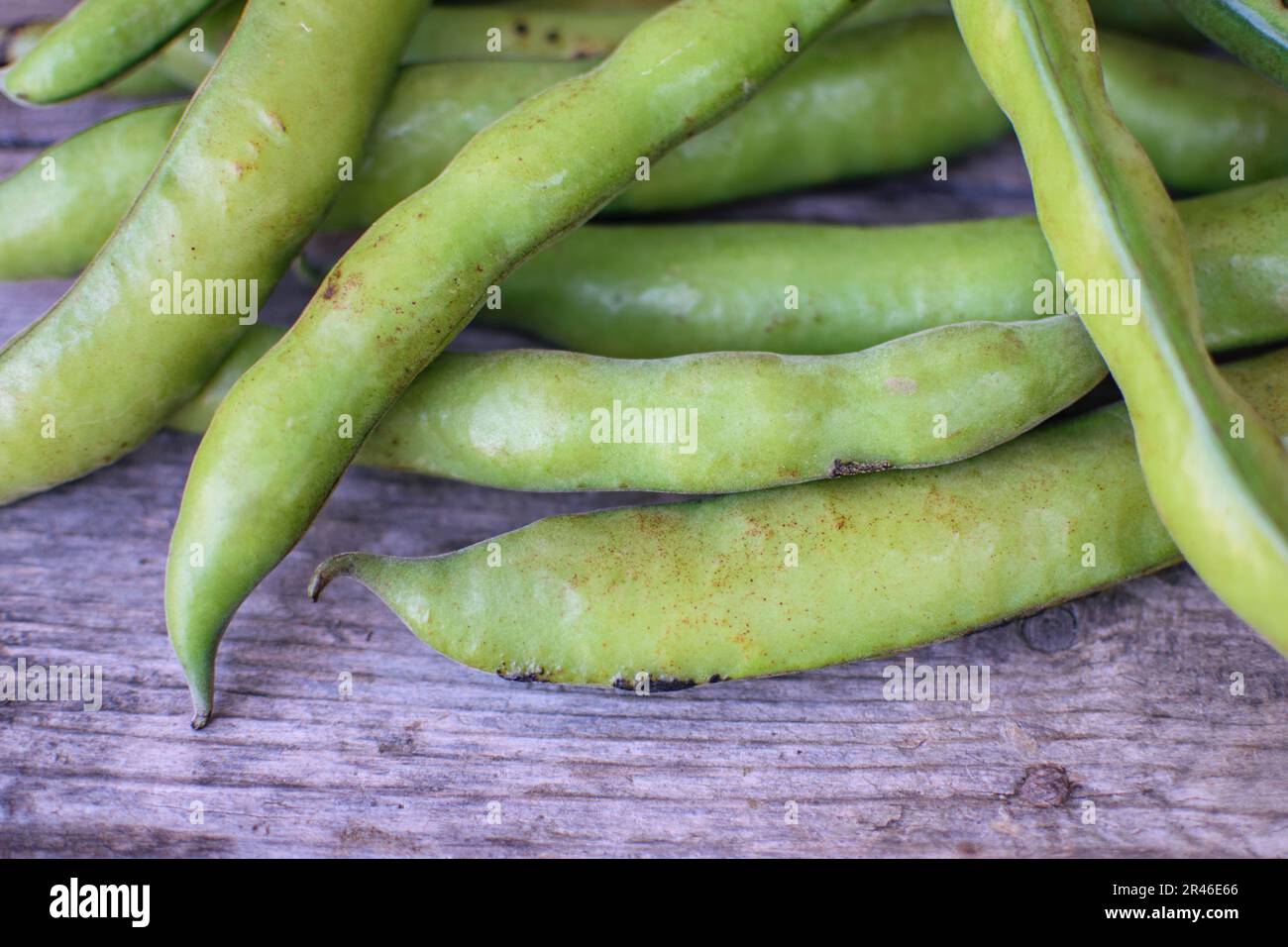 Image of green broad stocked in market for consumption Stock Photo - Alamy