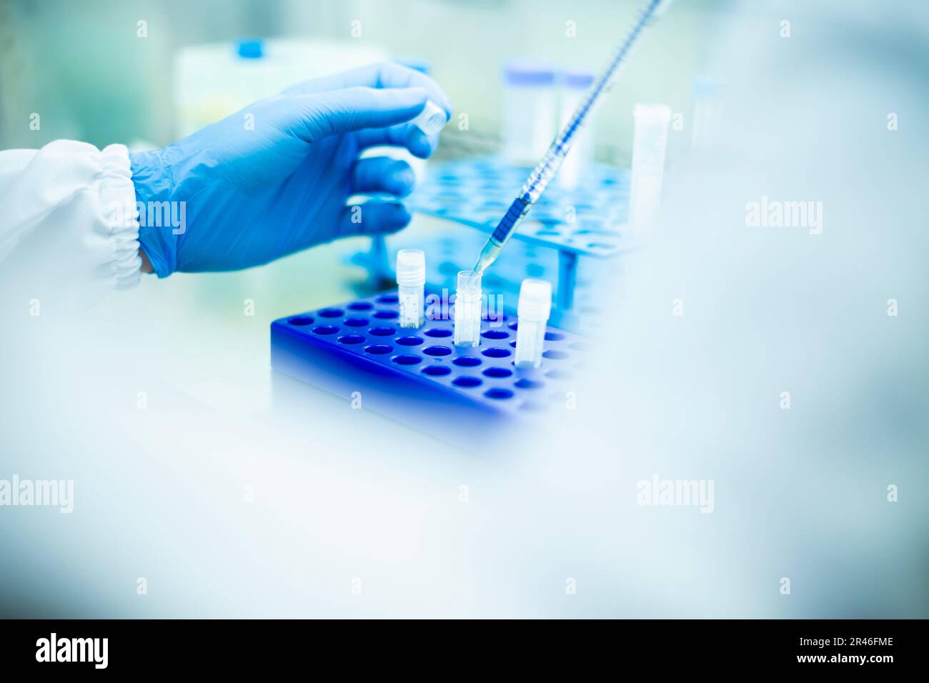 biology medicine and medical laboratory photo and cell culturing multi ...