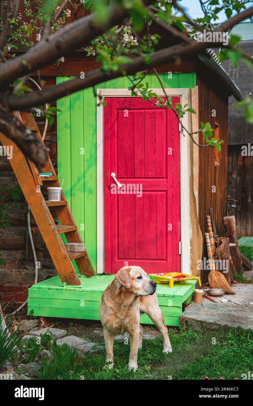 the door of a wooden house painted in a bright purple, pink, fuchsia ...