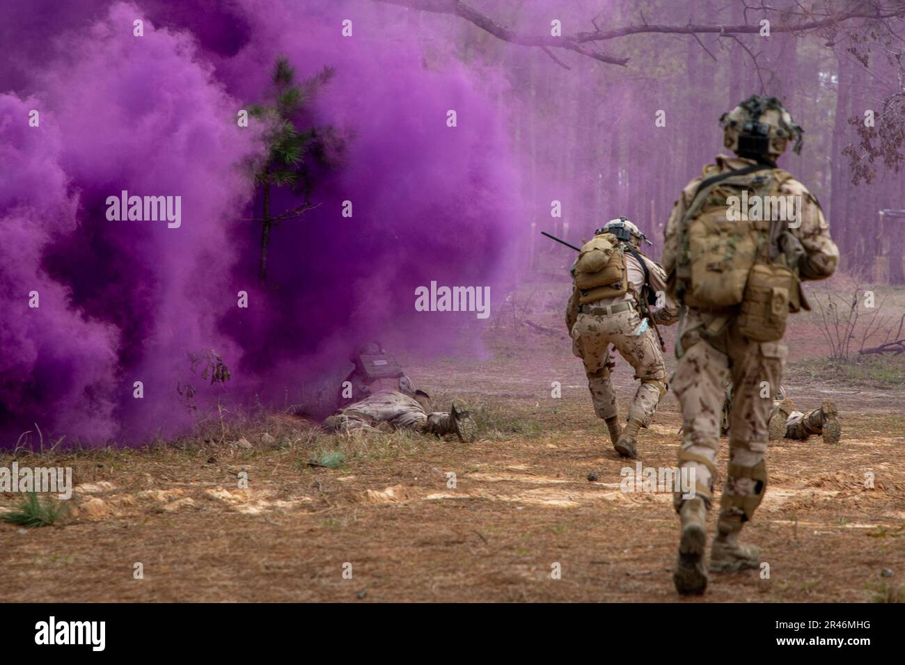United Arab Emirates soldiers from the 11th Mountain Battalion bound in ...