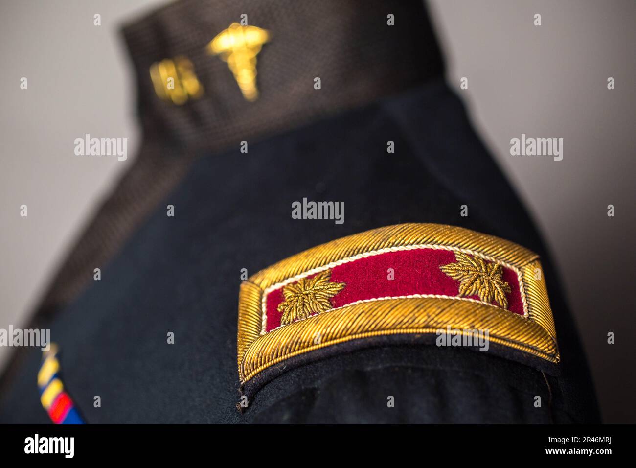 30 March is National Doctors Day. The oldest Corps in the AMEDD is the ...