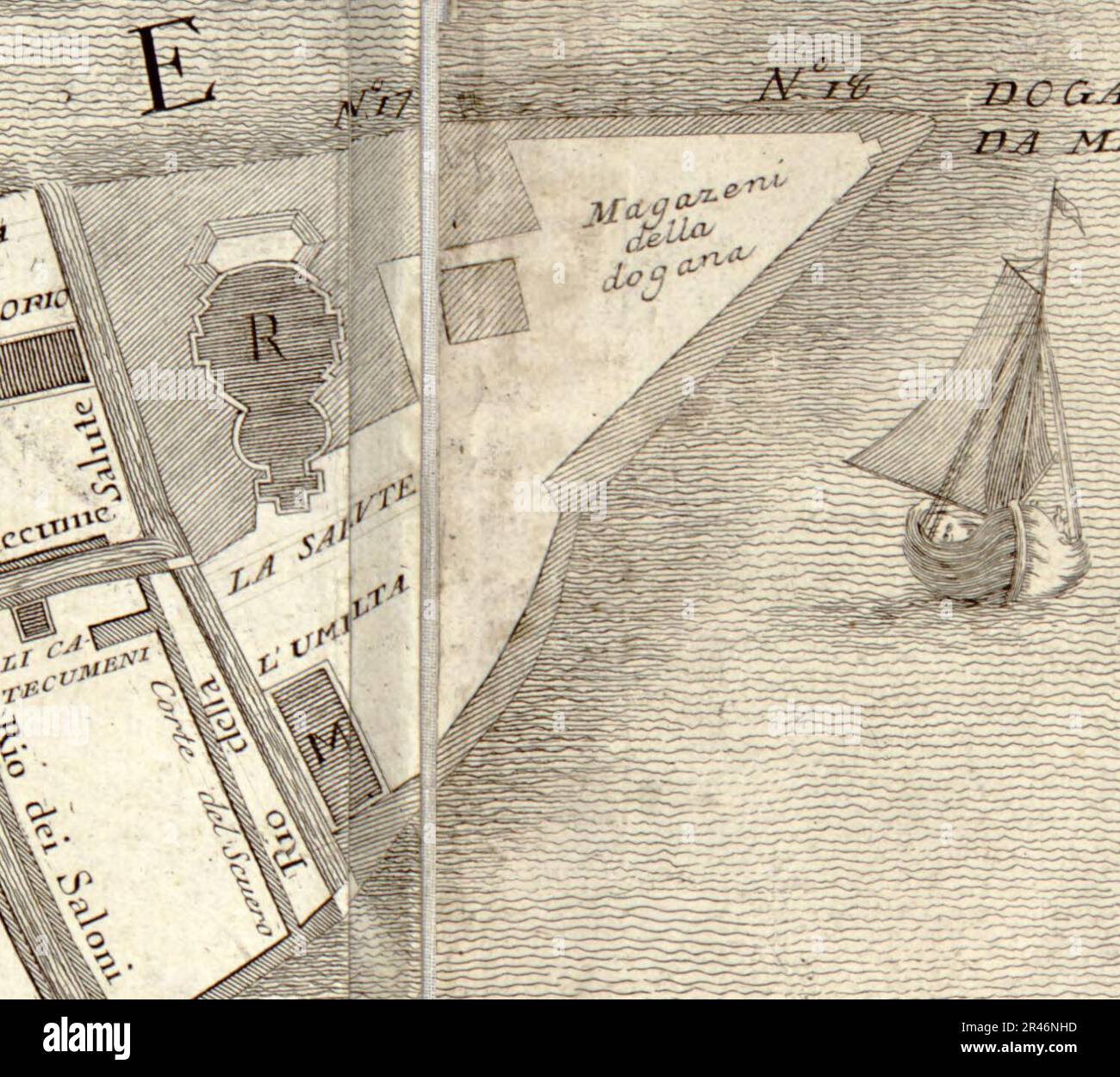 Umiltà pianta ughi Stock Photo - Alamy