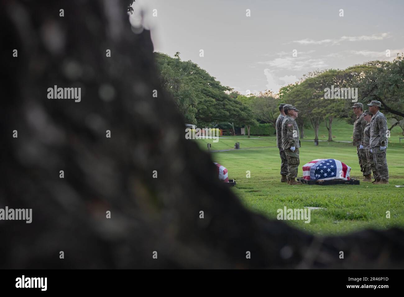 Disinternment hi-res stock photography and images - Alamy