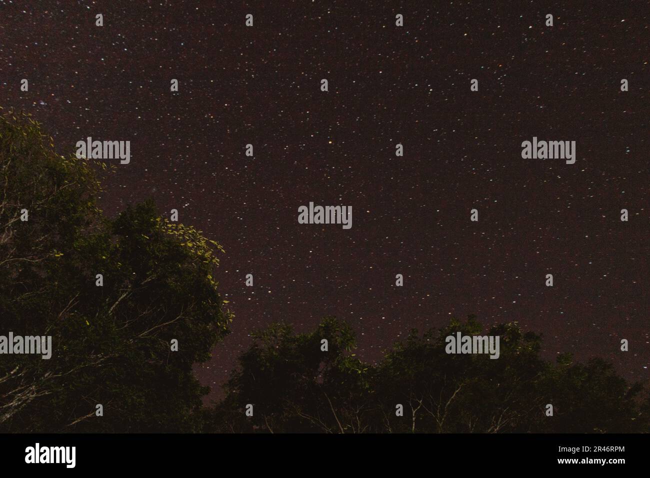 Stars overhead hi-res stock photography and images - Alamy