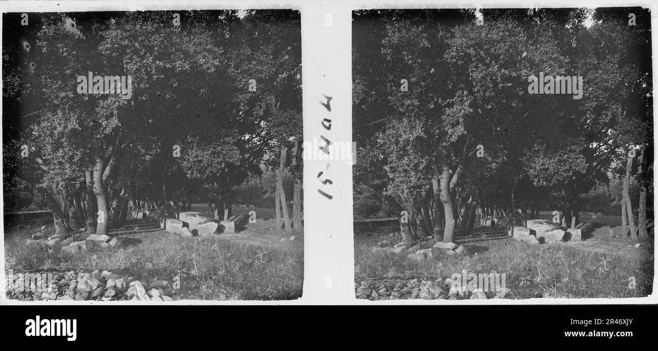 Una font a Nerola Stock Photo - Alamy