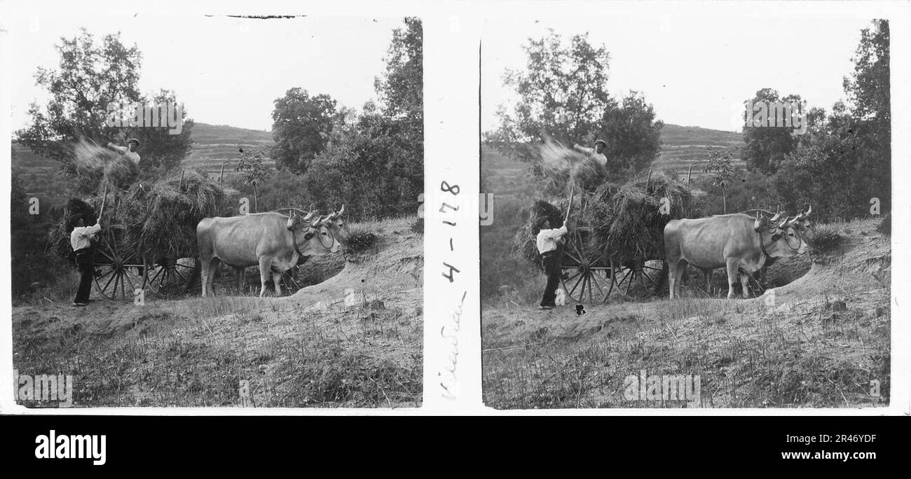 Garba Black and White Stock Photos & Images - Alamy