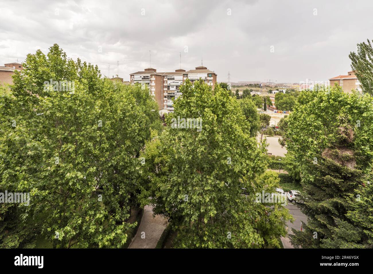 Buildings of a city with a large number of leafy trees blocking the ...