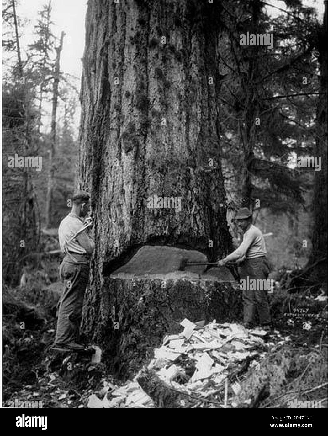 Undercutting hi-res stock photography and images - Alamy