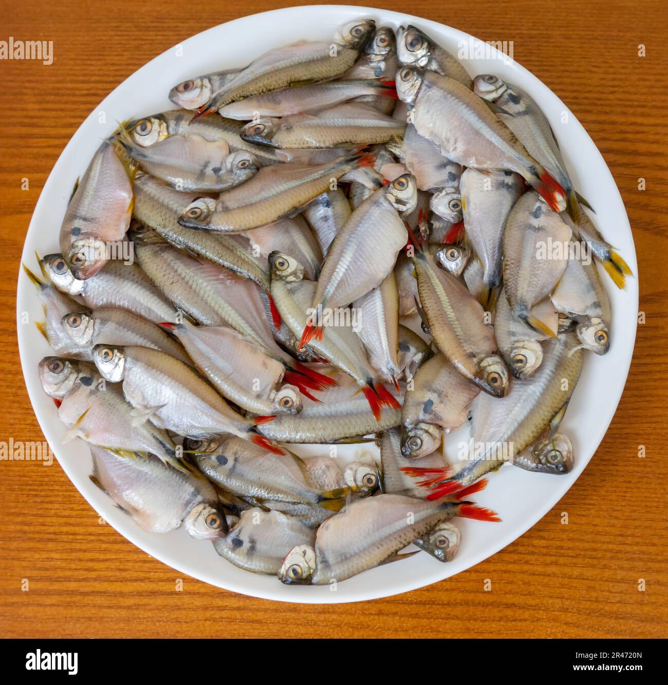 Fried Lambari do Rabo Vermelho (Astyanax bimaculatus) typical Brazilian ...