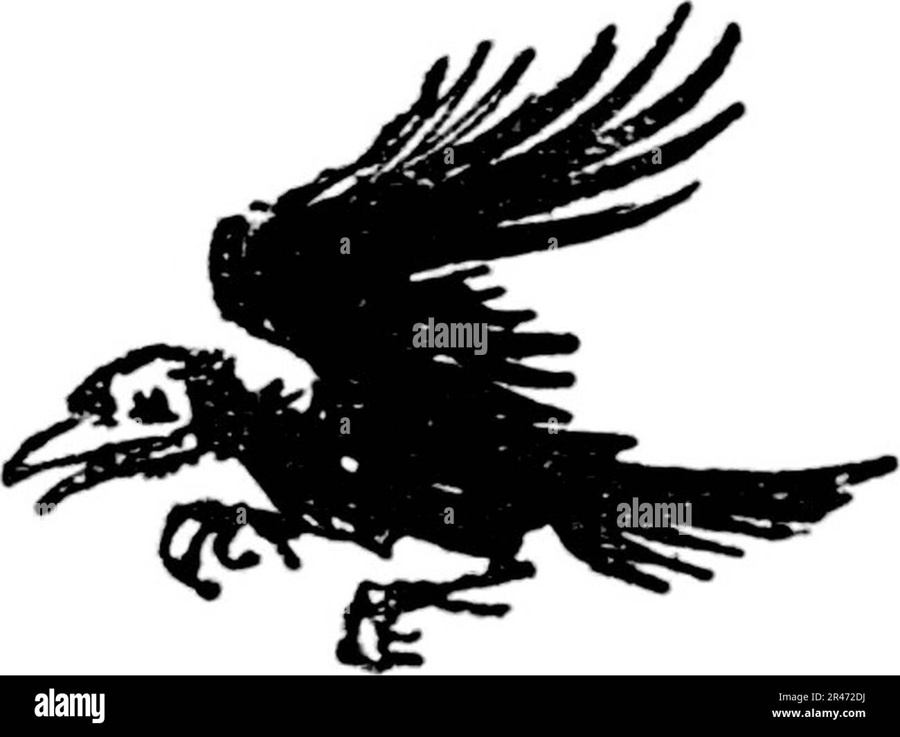 Undine undine Cut Out Stock Images & Pictures - Alamy