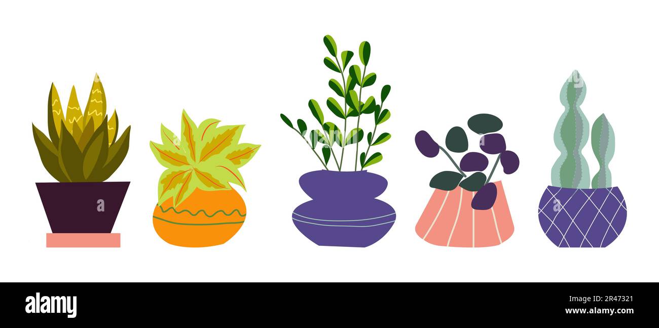 Urban jungle, trendy home decor with plants, tropical leaves in stylish ...