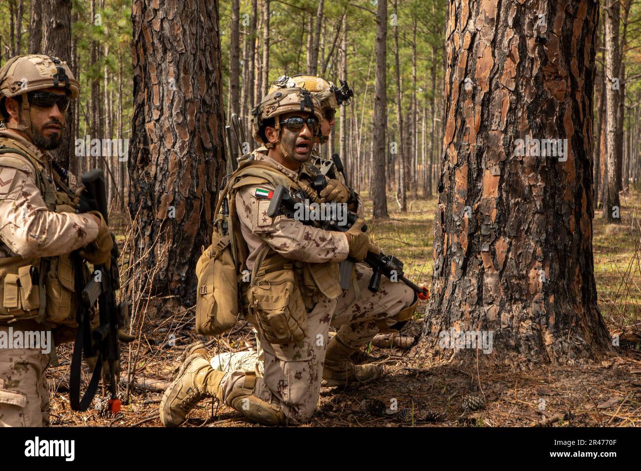 A platoon leader from the United Arab Emirates 11th Mountain Battalion ...