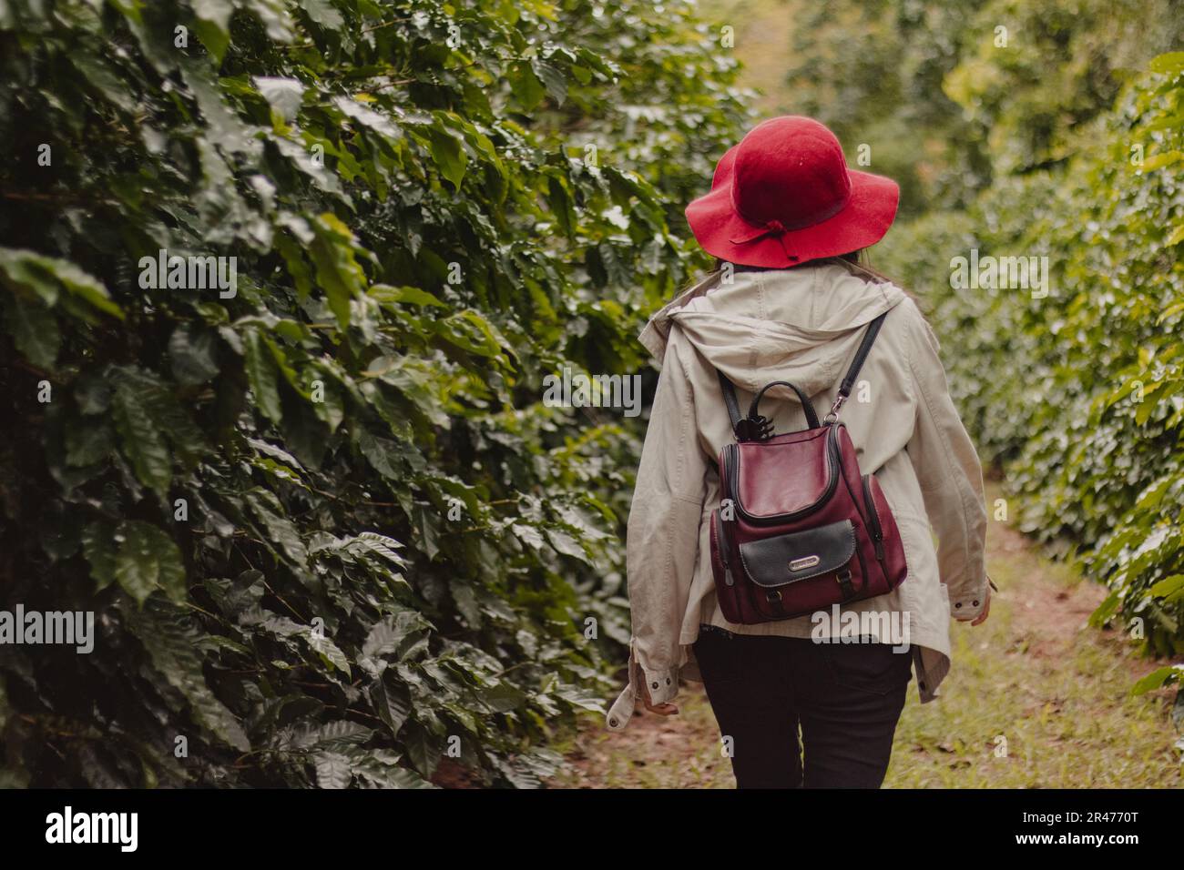 back view of person walking Stock Photo - Alamy