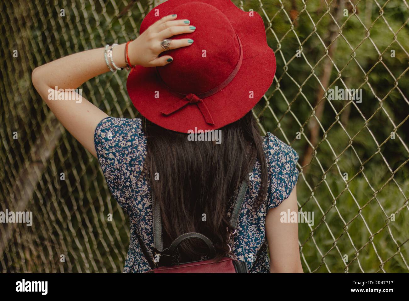 beautiful woman from the back Stock Photo - Alamy